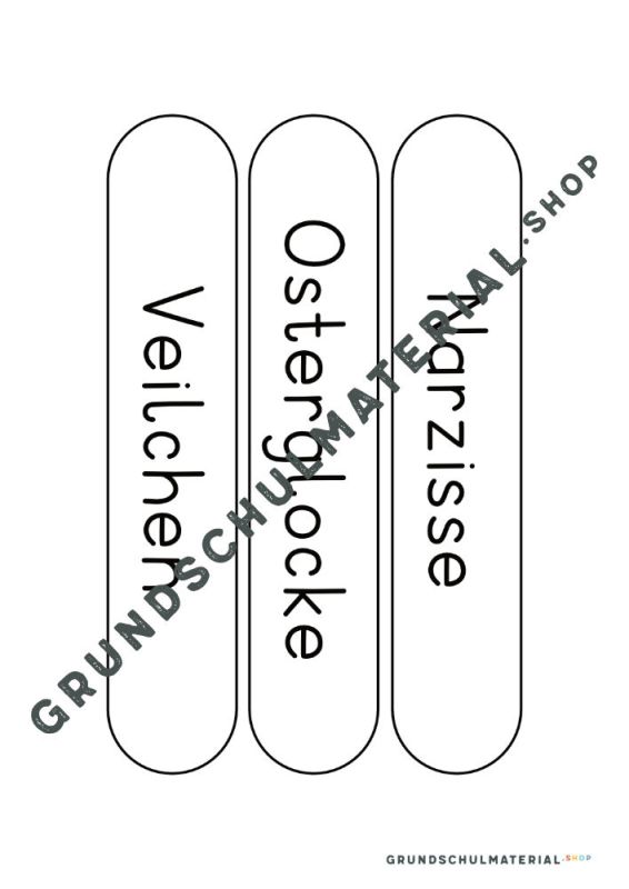 Frühblüher Grundschule Tafelmaterial | Sachunterricht Grundschule