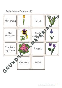 Frühblüher Klasse 1 Domino: Spielerisch lernen in der Grundschule